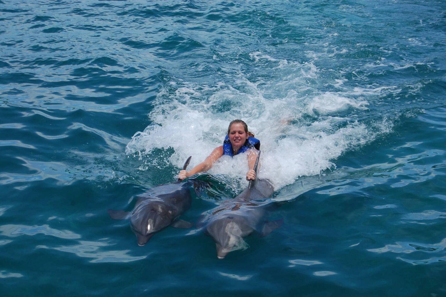 Nado con delfines en Isla Mujeres, una gran experiencia. - Mexico Real