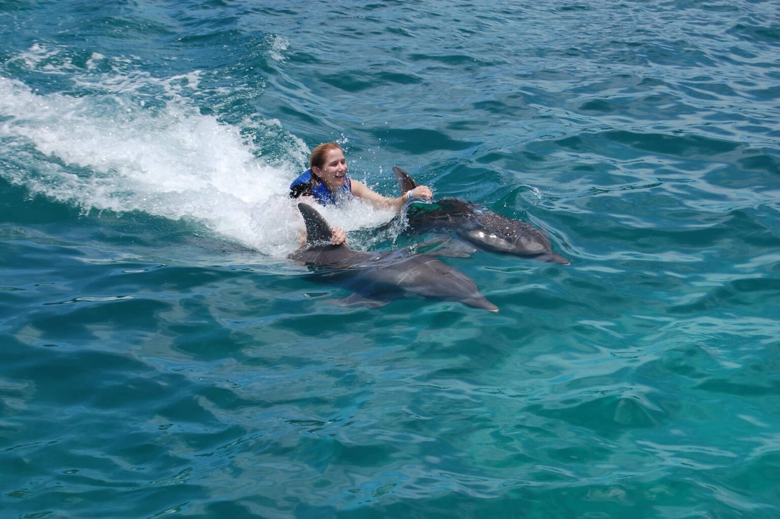 Nado con delfines en Isla Mujeres, una gran experiencia. - Mexico Real