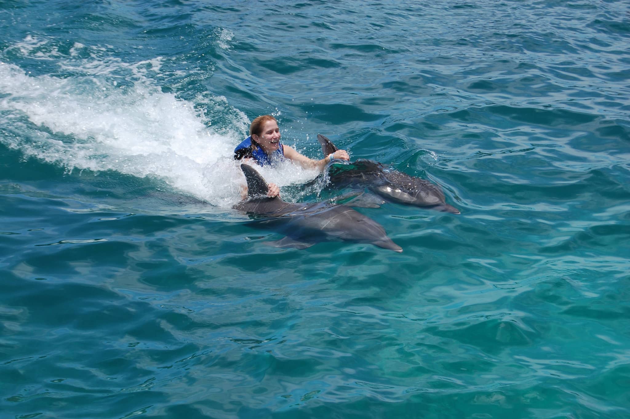 Nado con delfines en Isla Mujeres, una gran experiencia. - Mexico Real